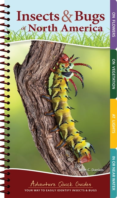 Adventure Quick Guides Insects & Bugs of North America: Your Way to ...