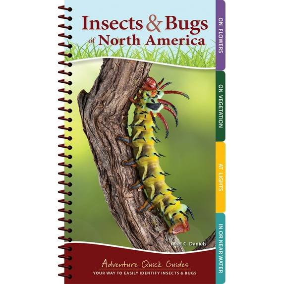 Adventure Quick Guides Insects & Bugs of North America: Your Way to ...