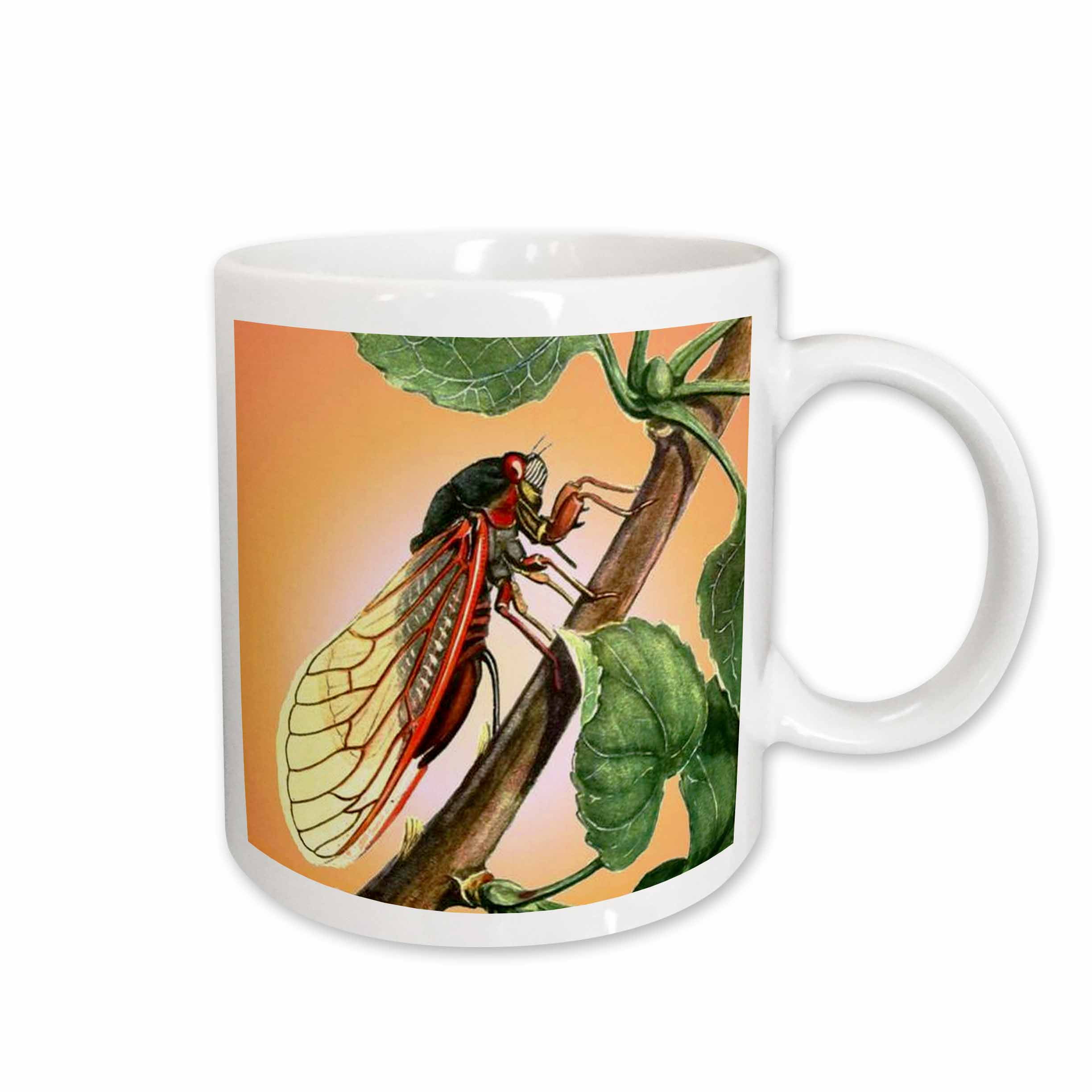 Insects Cicada 15oz Mug mug-18246-2 - Walmart.com
