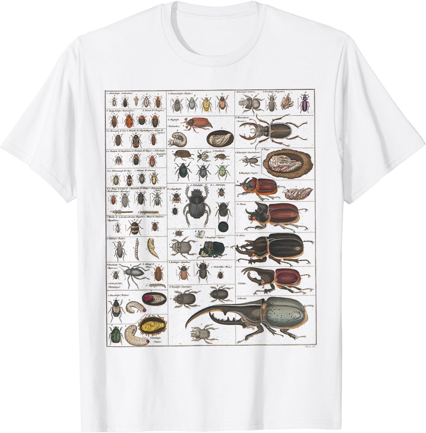 Insects Collection Species Bugs vintage Chart Entomology T-Shirt White ...