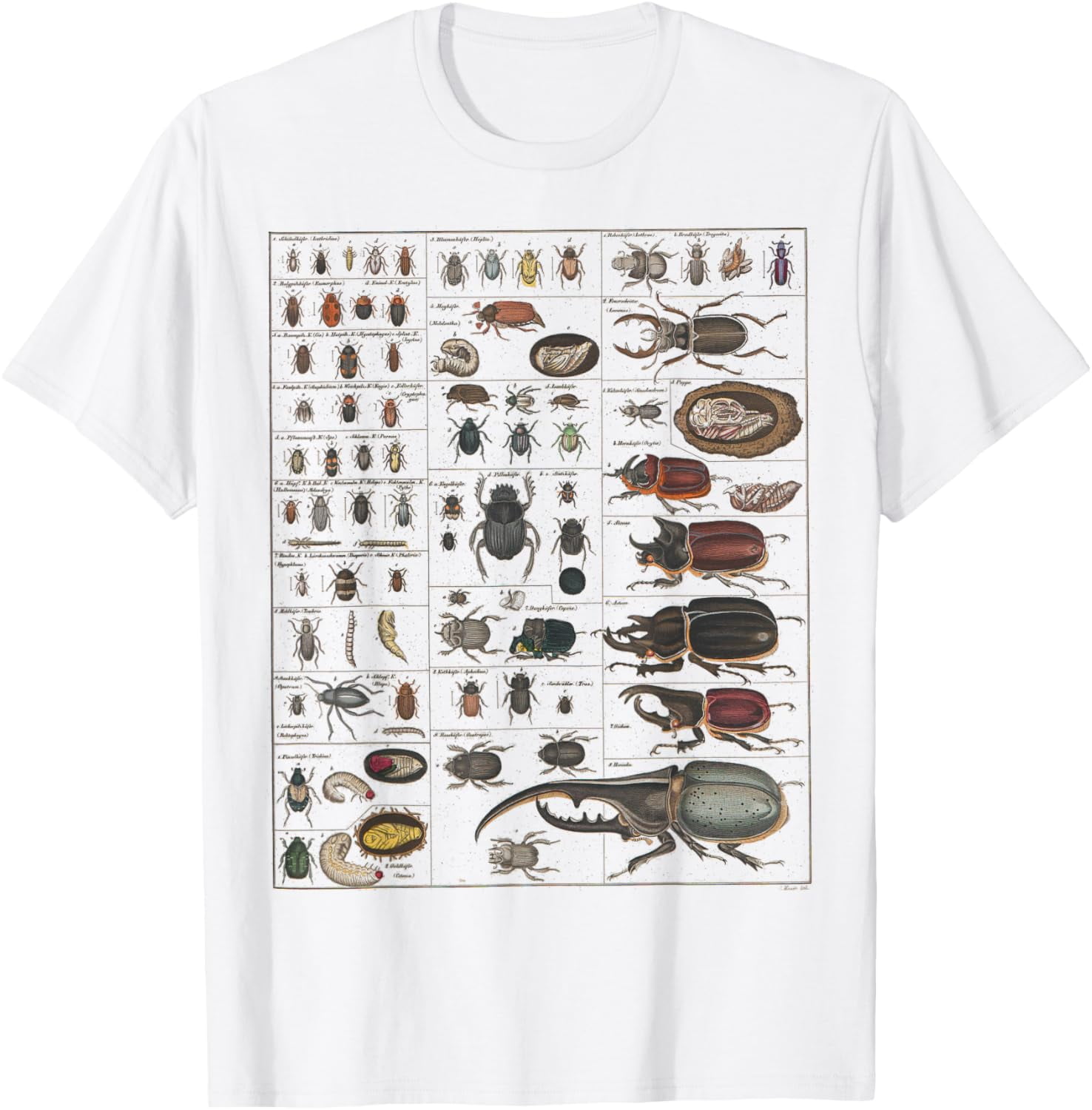 Insects Collection Species Bugs vintage Chart Entomology T-Shirt ...