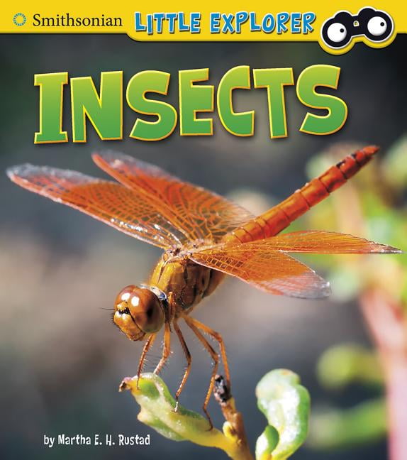 Insects (Hardcover) by Martha E H Rustad - Walmart.com