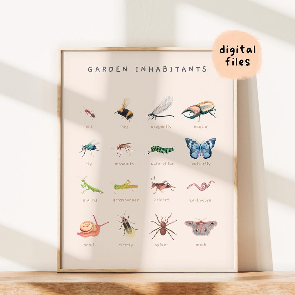 Insects & Mollusks Montessori Educational Poster, Watercolor Homeschool ...