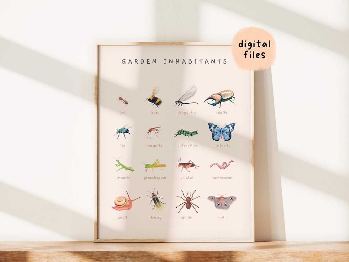 Insects & Mollusks Montessori Educational Poster, Watercolor Homeschool ...