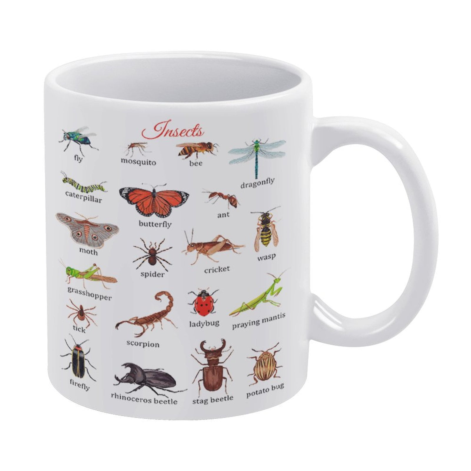 Insects Montessori Mug, Educational Mug, Types of Bugs and Beettles ...
