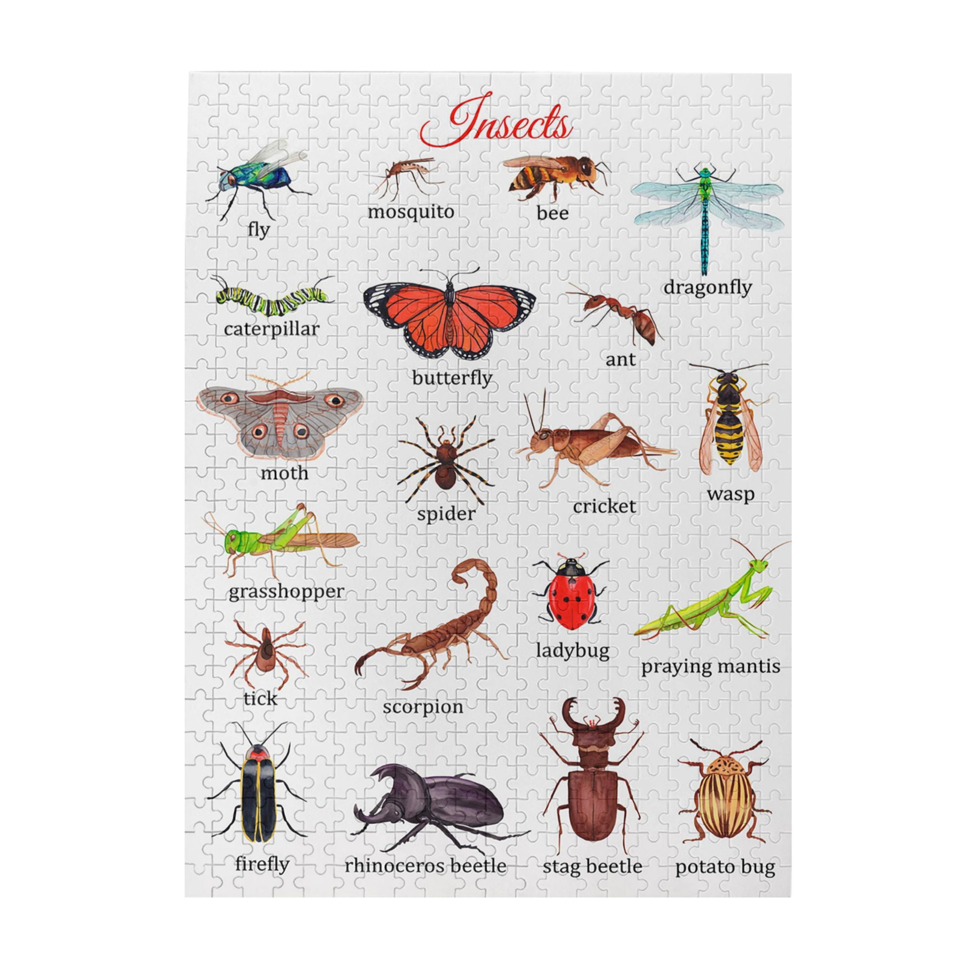 Insects Montessori Puzzle, Educational Puzzle, Types of Bugs and ...