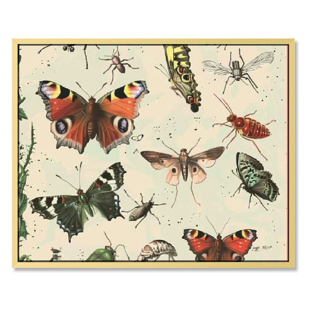 Insects Poster - Educational Print - Learning Materials Art - Animal ...