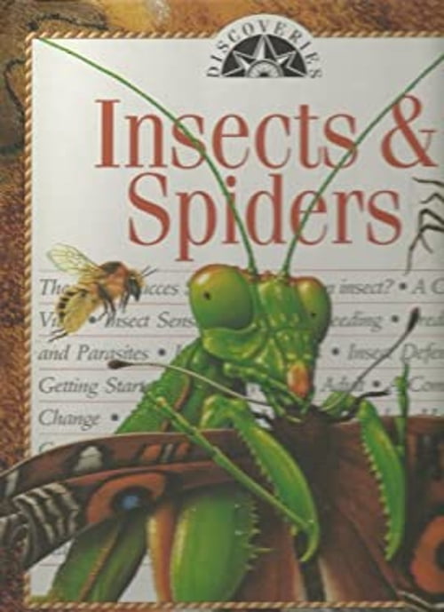 Pre-Owned Insects & Spiders (Discoveries) (Paperback) 9780760746417 - Walmart.com