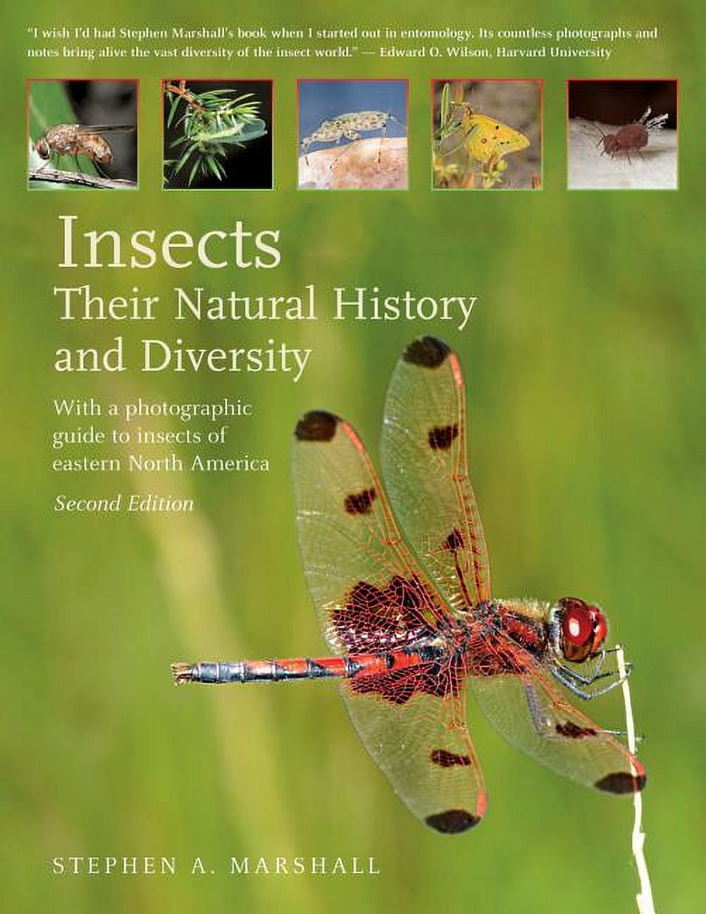 Insects: Their Natural History and Diversity: With a Photographic Guide to Insects of Eastern ...