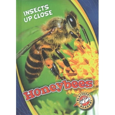 Marvelous World of Insects Insectorama: The Marvelous World of Insects ...