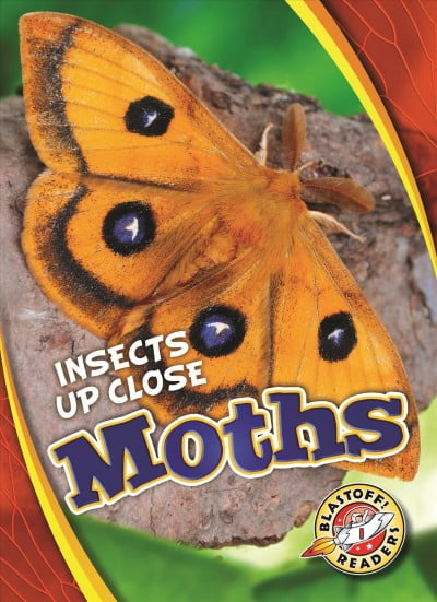 Pre-Owned Insects Up Close: Moths (Hardcover) - Walmart.com