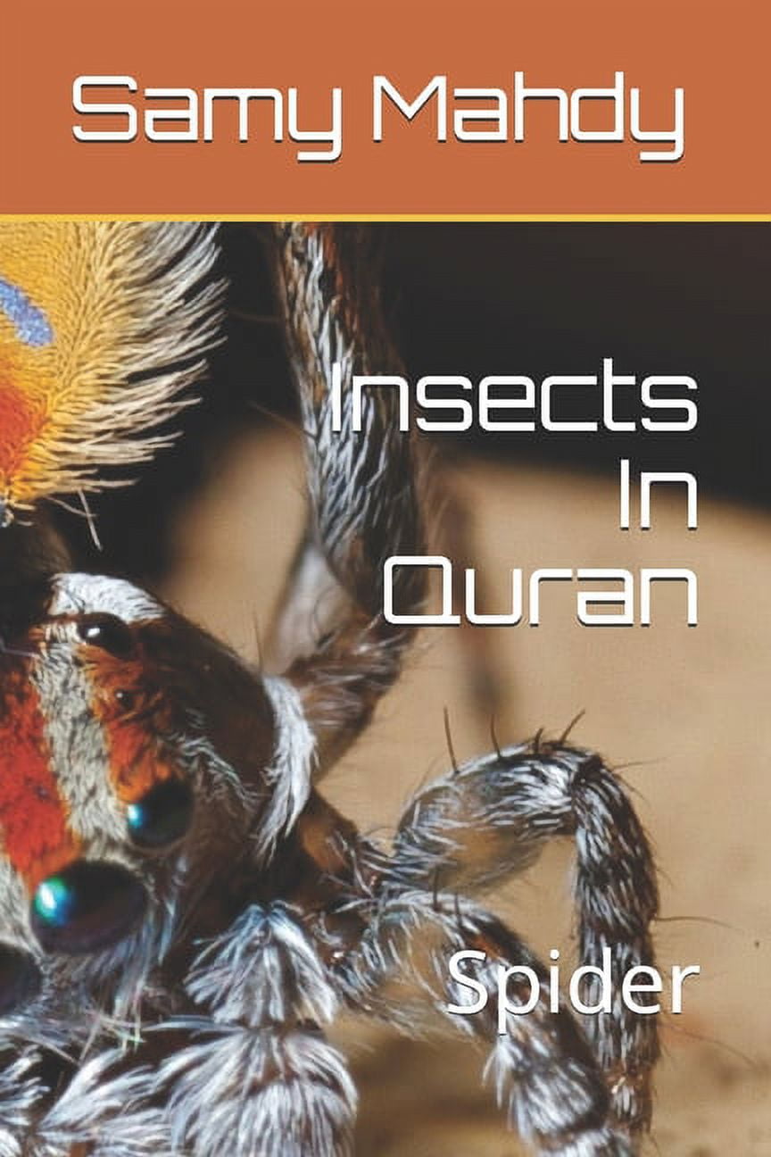 Insects in Quran: Insects In Quran: Spider (Paperback) - Walmart.com
