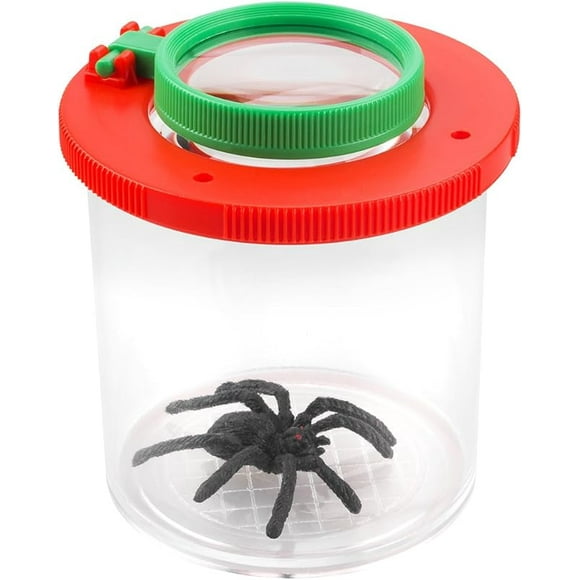 Bug Catcher Kids