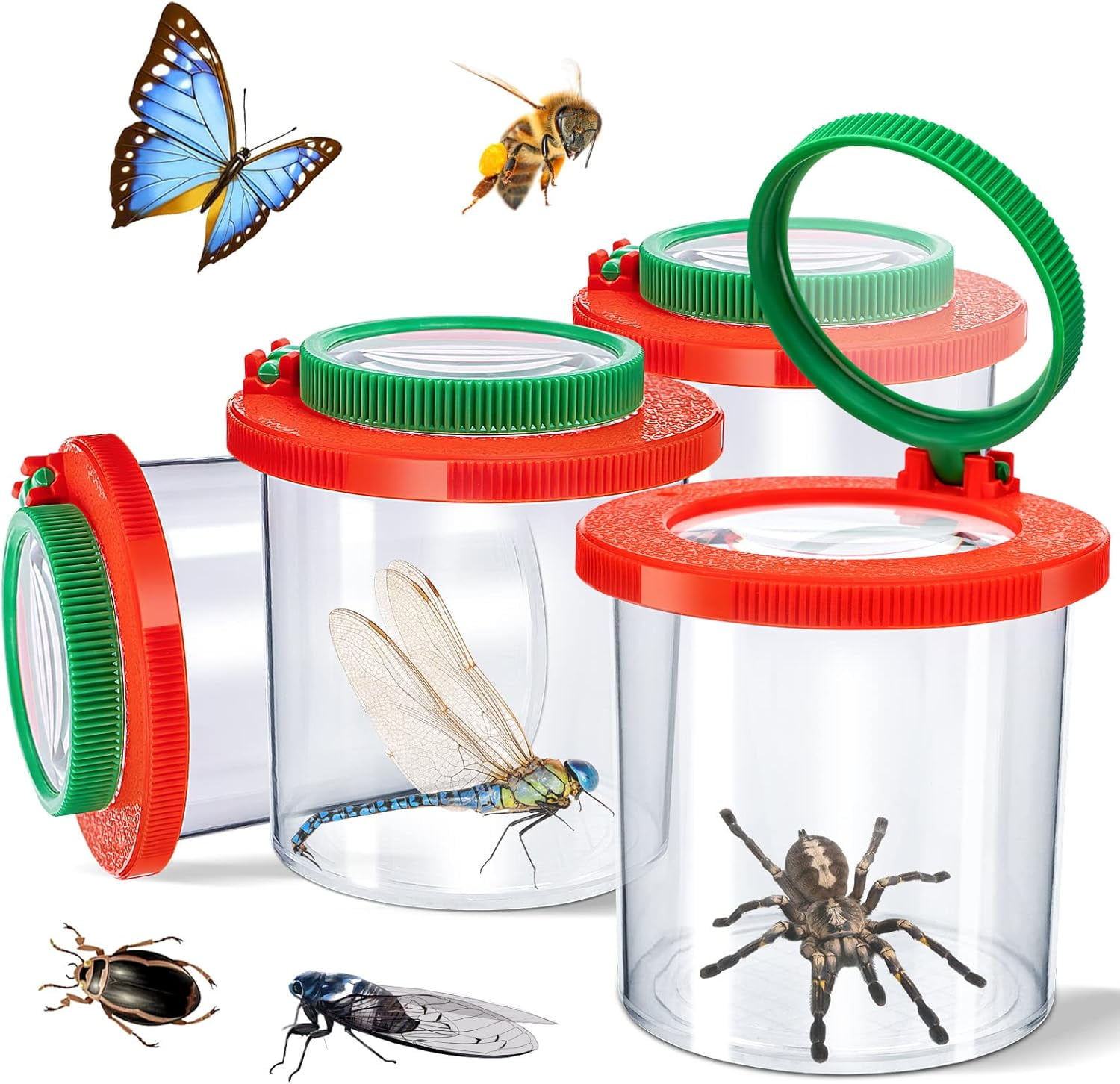 Insert Bug Viewer for Kids, 4PCS Magnifying Insect Box Bug Catcher Kit ...