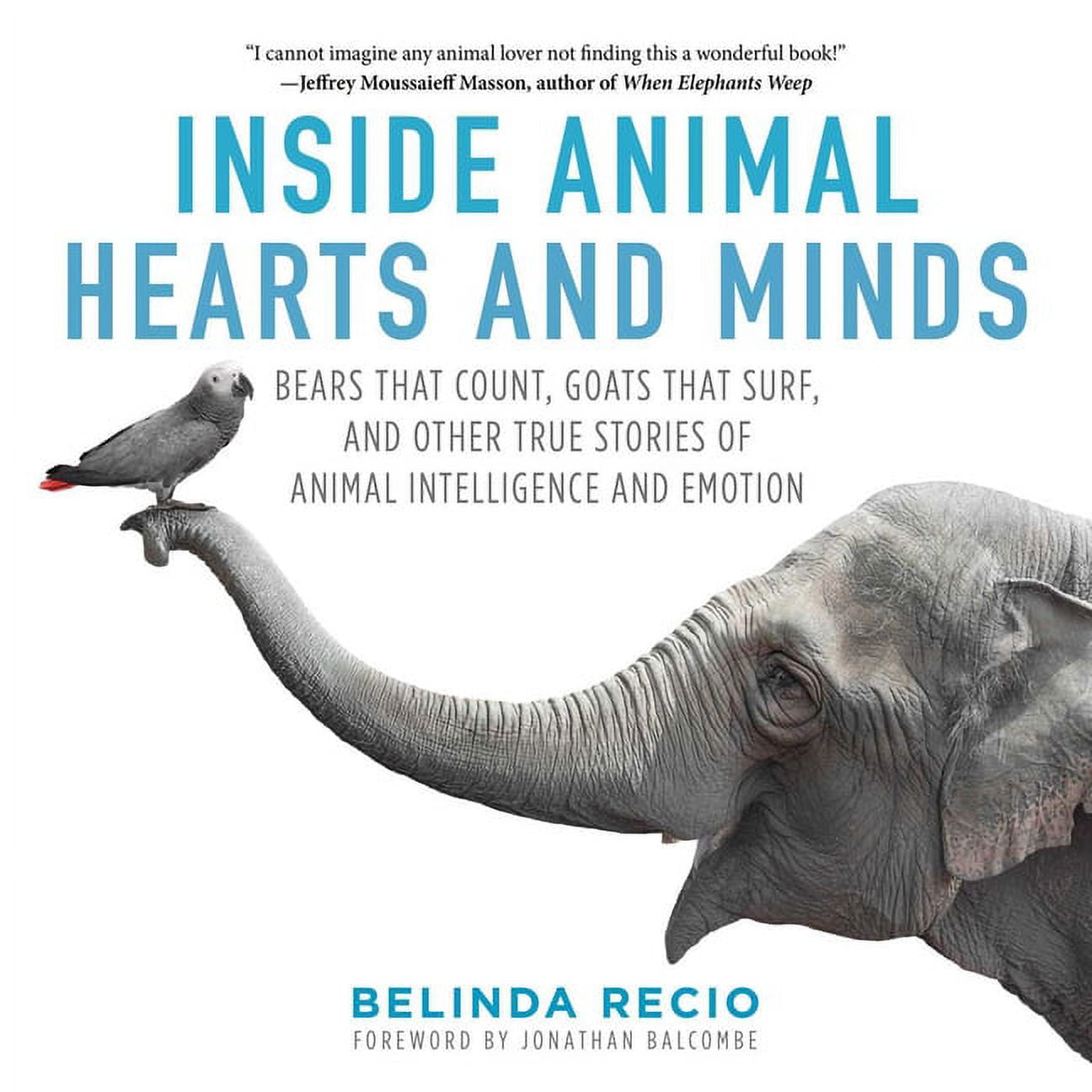 Inside Animal Hearts and Minds : Bears That Count, Goats That Surf, and ...