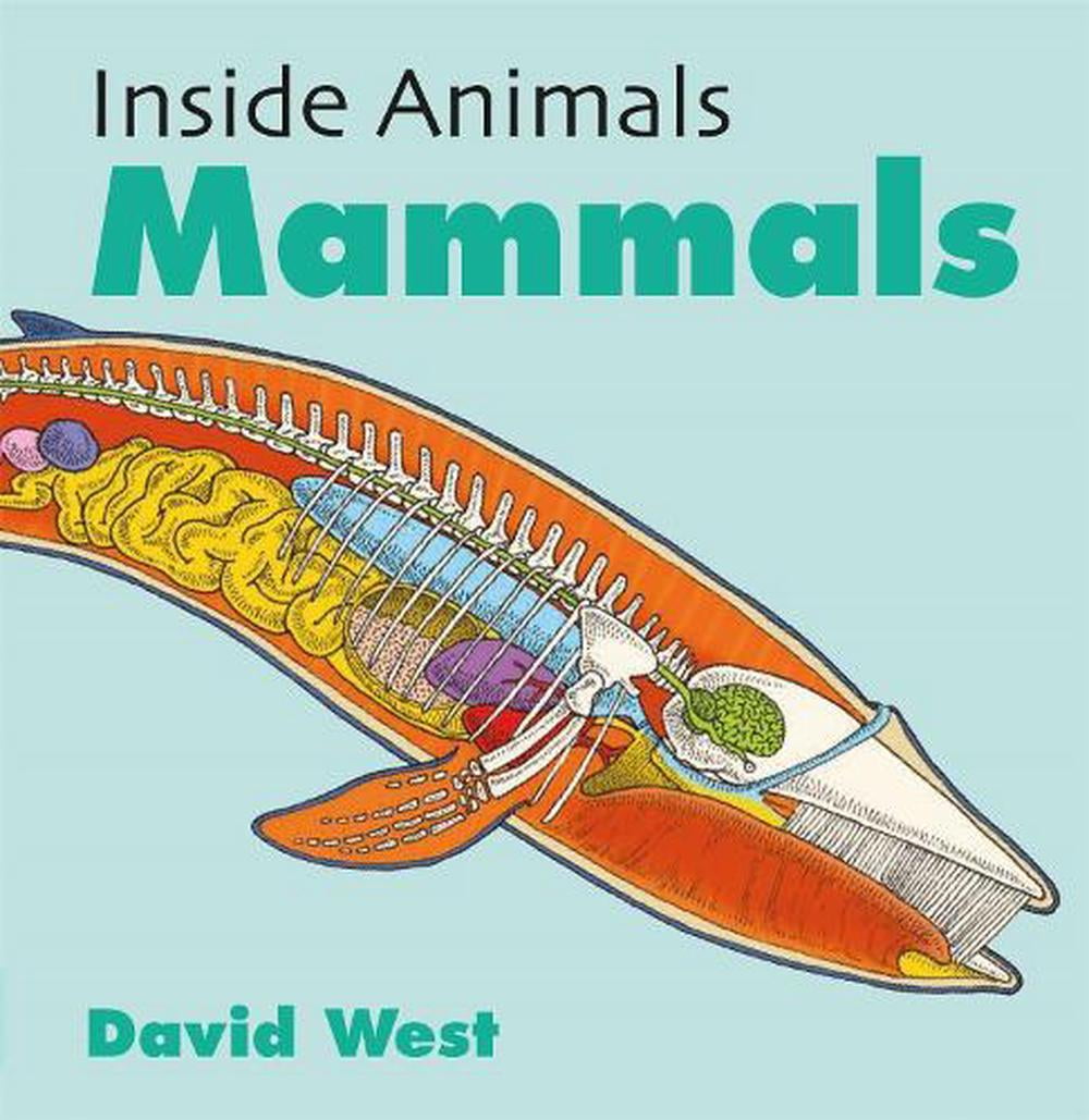 Inside Animals: Mammals - Walmart.com
