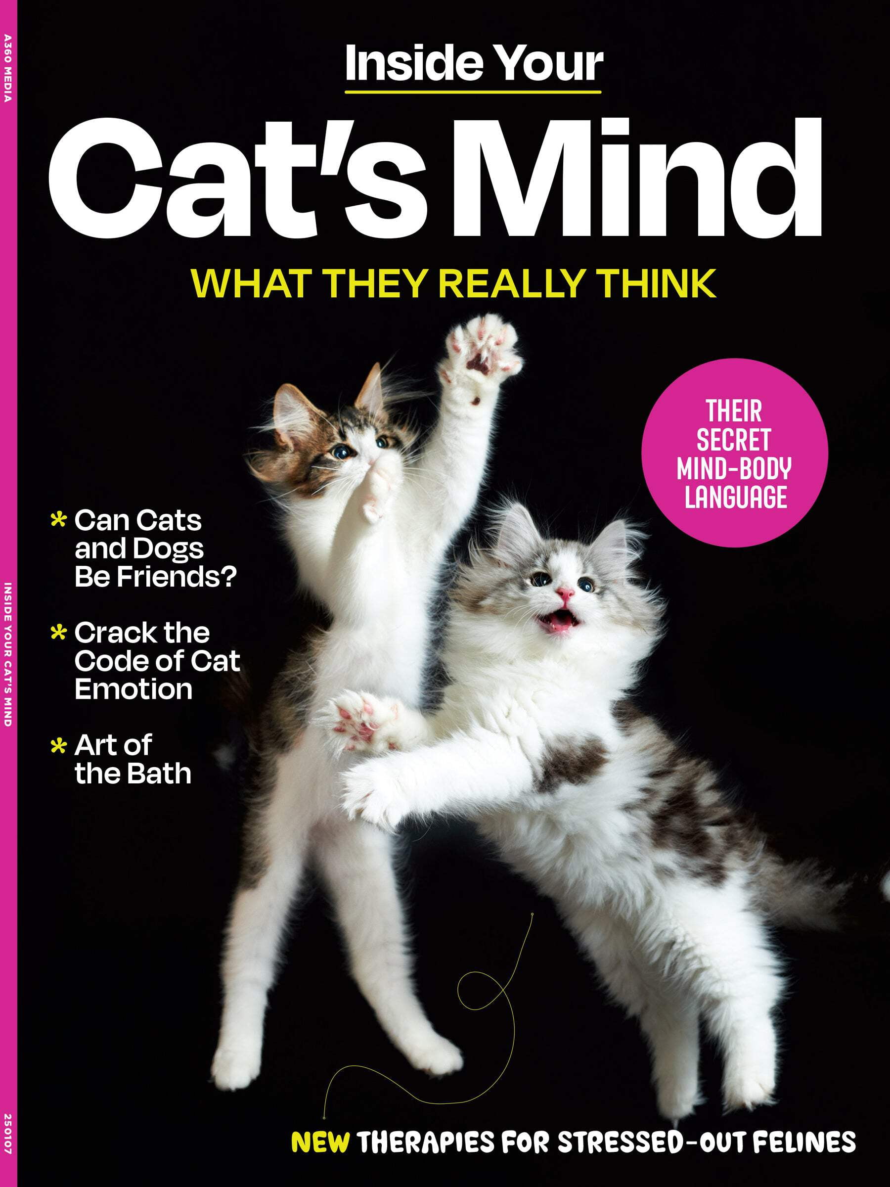 Inside Your Cat’s Mind - What They Really Think: Crack The Code Of Cat ...