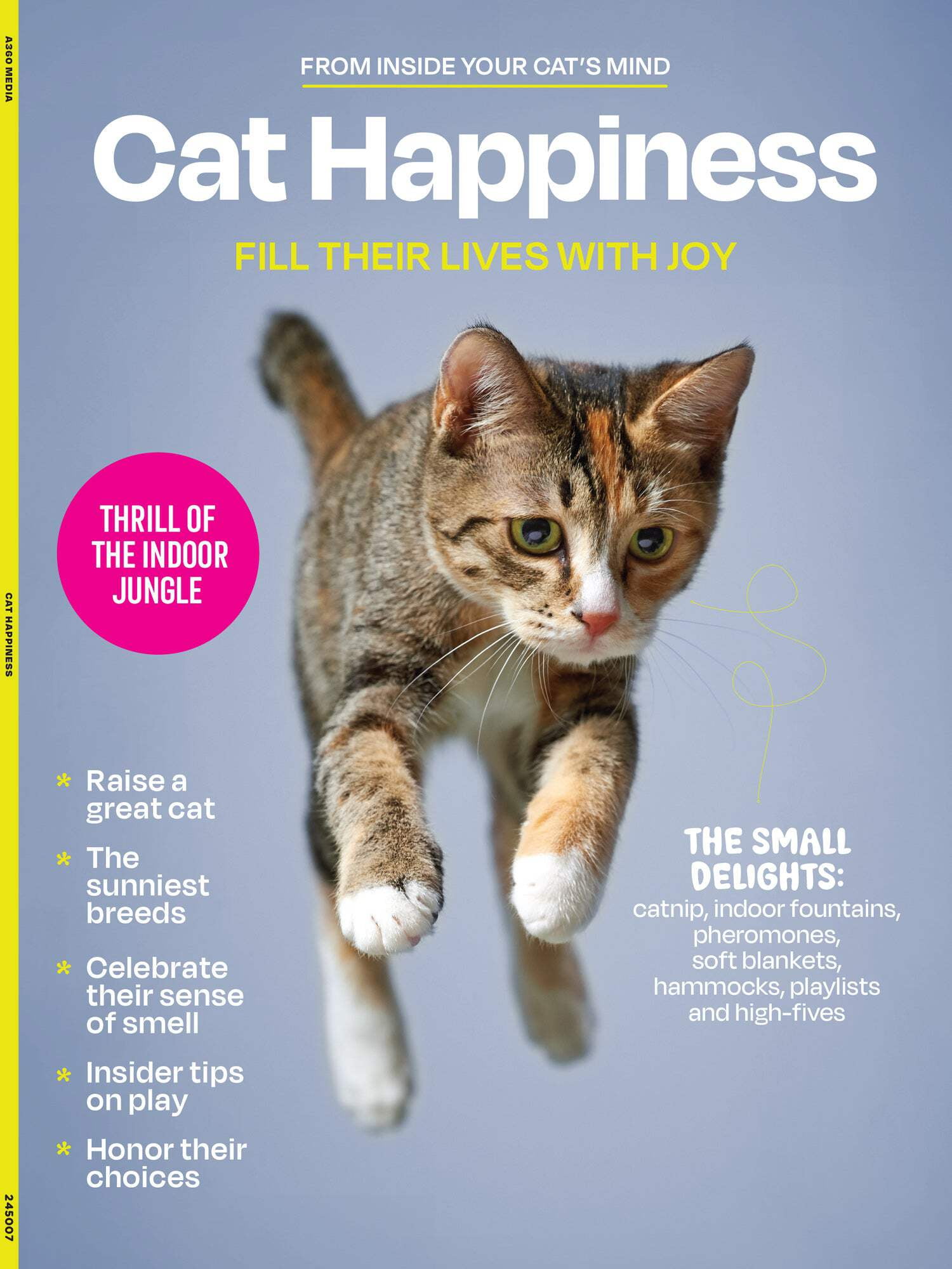 Inside Your Cats Mind - Cat Happiness: Raise A Great Cat, The Sunniest ...