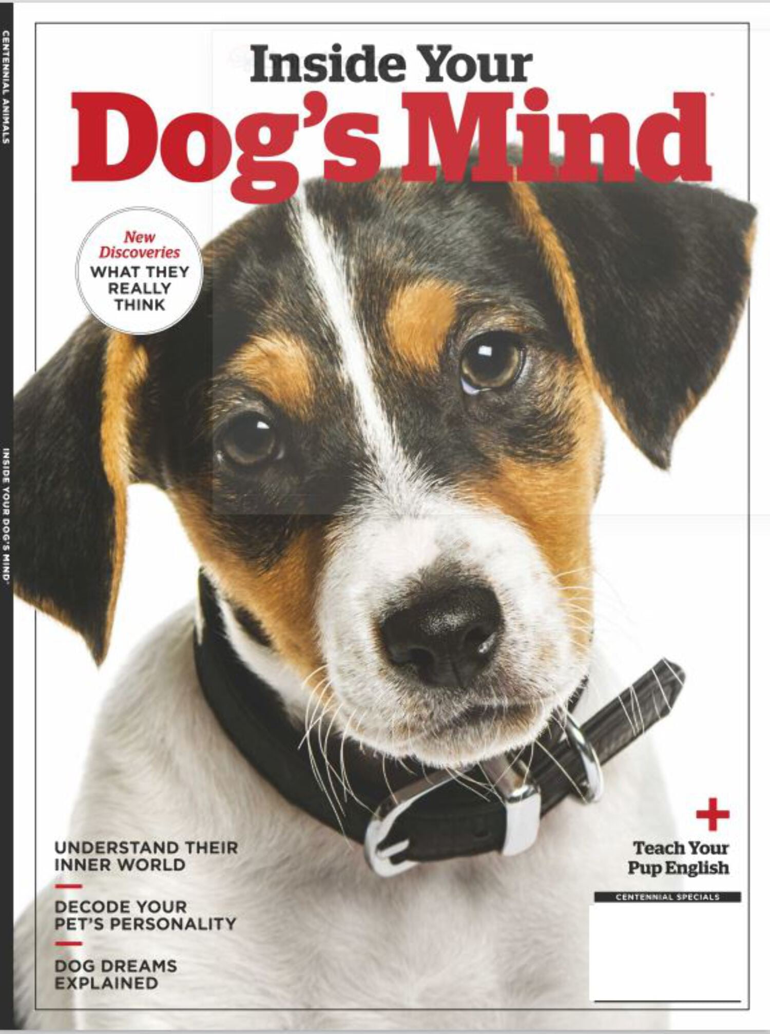 Inside Your Dog's Mind - New Discoveries: What They Really Think, Understand Their World, Decode ...