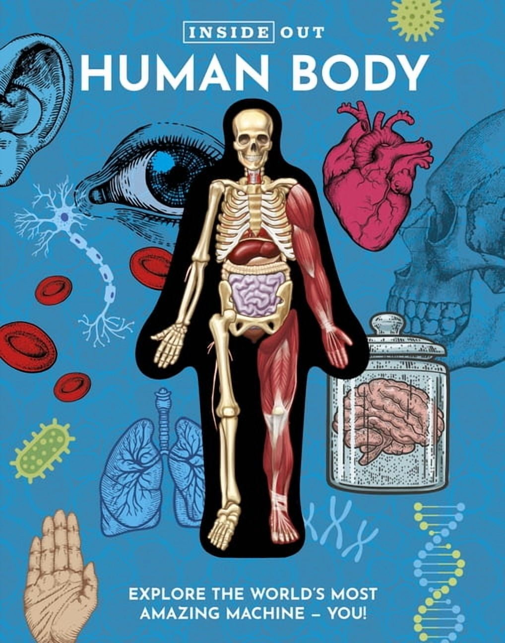 Inside Out, Chartwell Inside Out Human Body: Explore the World's Most ...