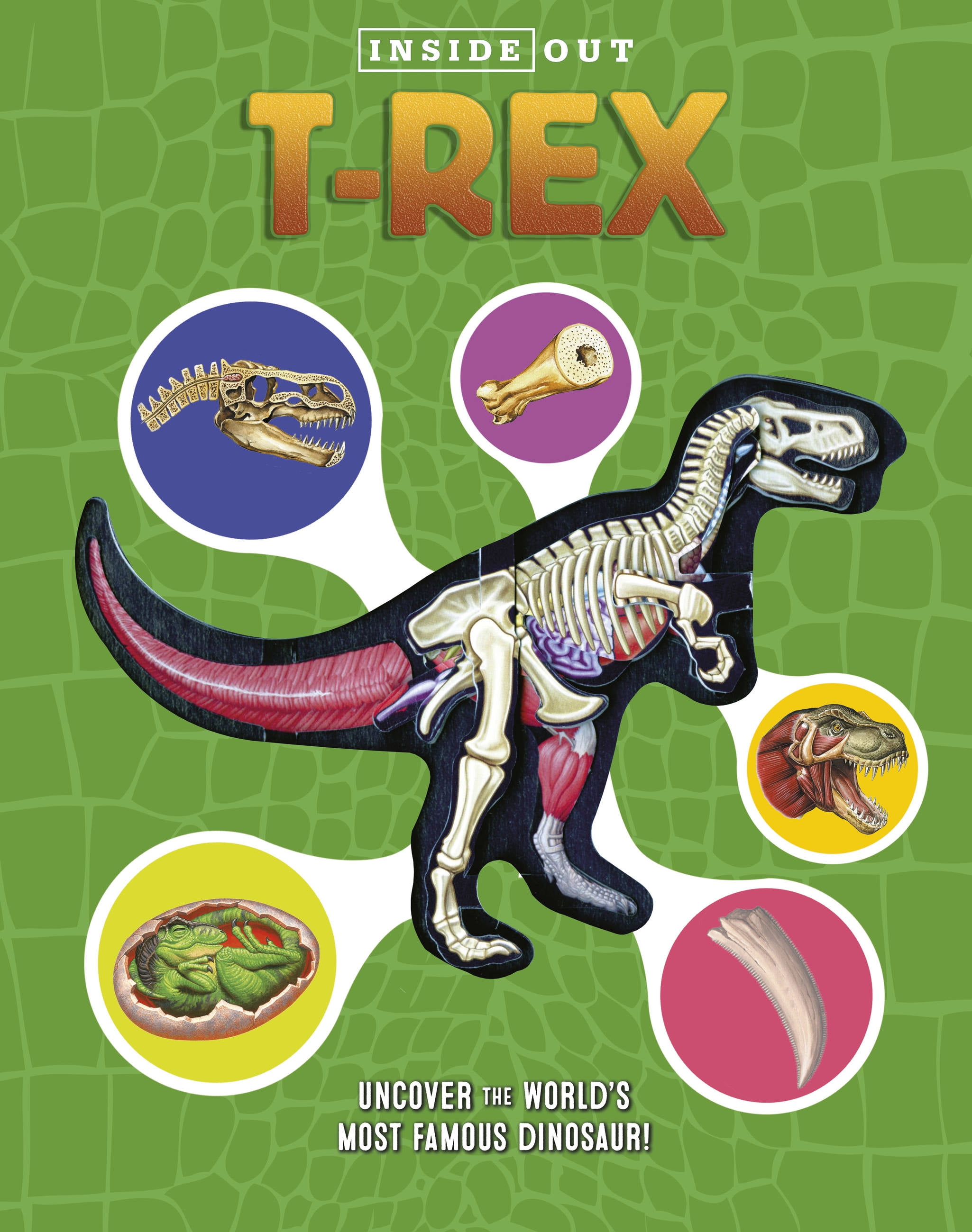 Inside Out T. Rex: Explore the World's Most Famous Dinosaur! (Hardcover ...
