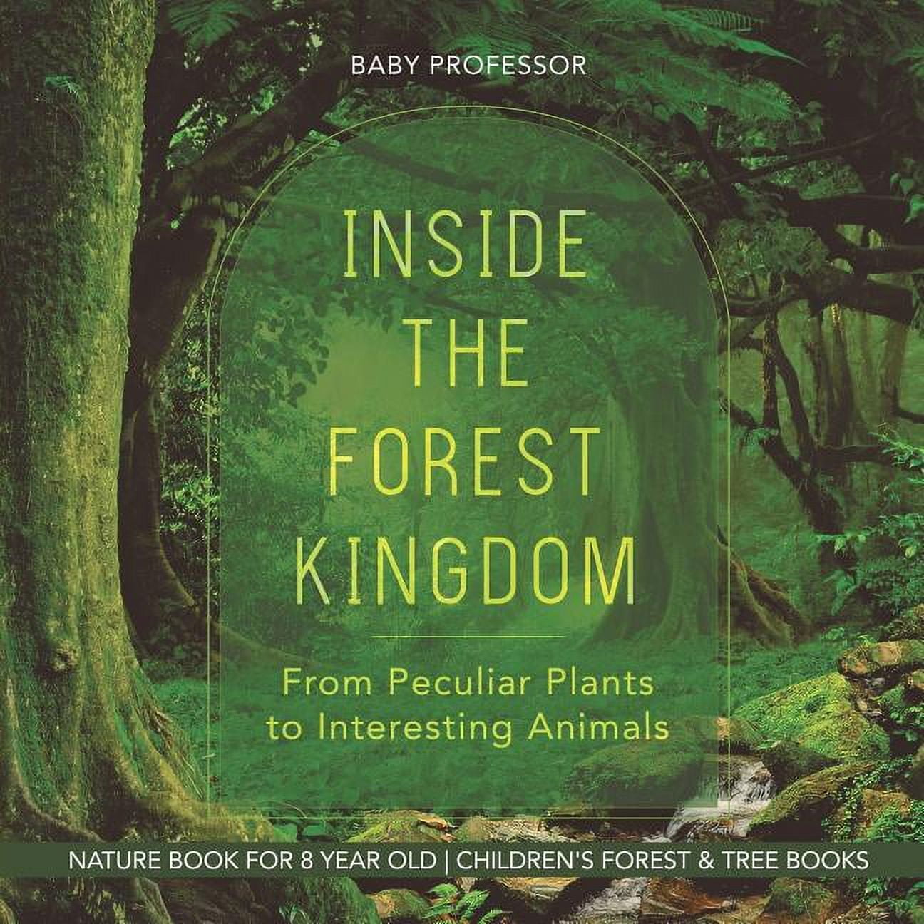 Inside the Forest Kingdom - From Peculiar Plants to Interesting Animals ...