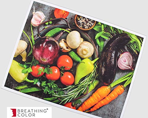 Insignia Scrim Vinyl - Affordable Matte Vinyl For Aqueous Inkjet ...