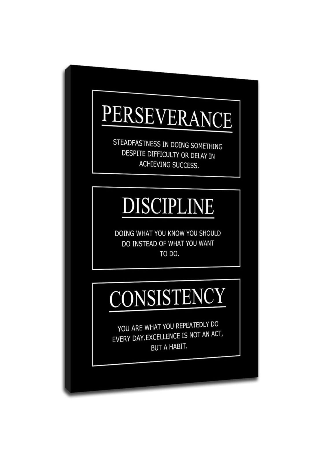 Inspirational Canvas Wall Art for Home Gym, Perseverance Discipline ...