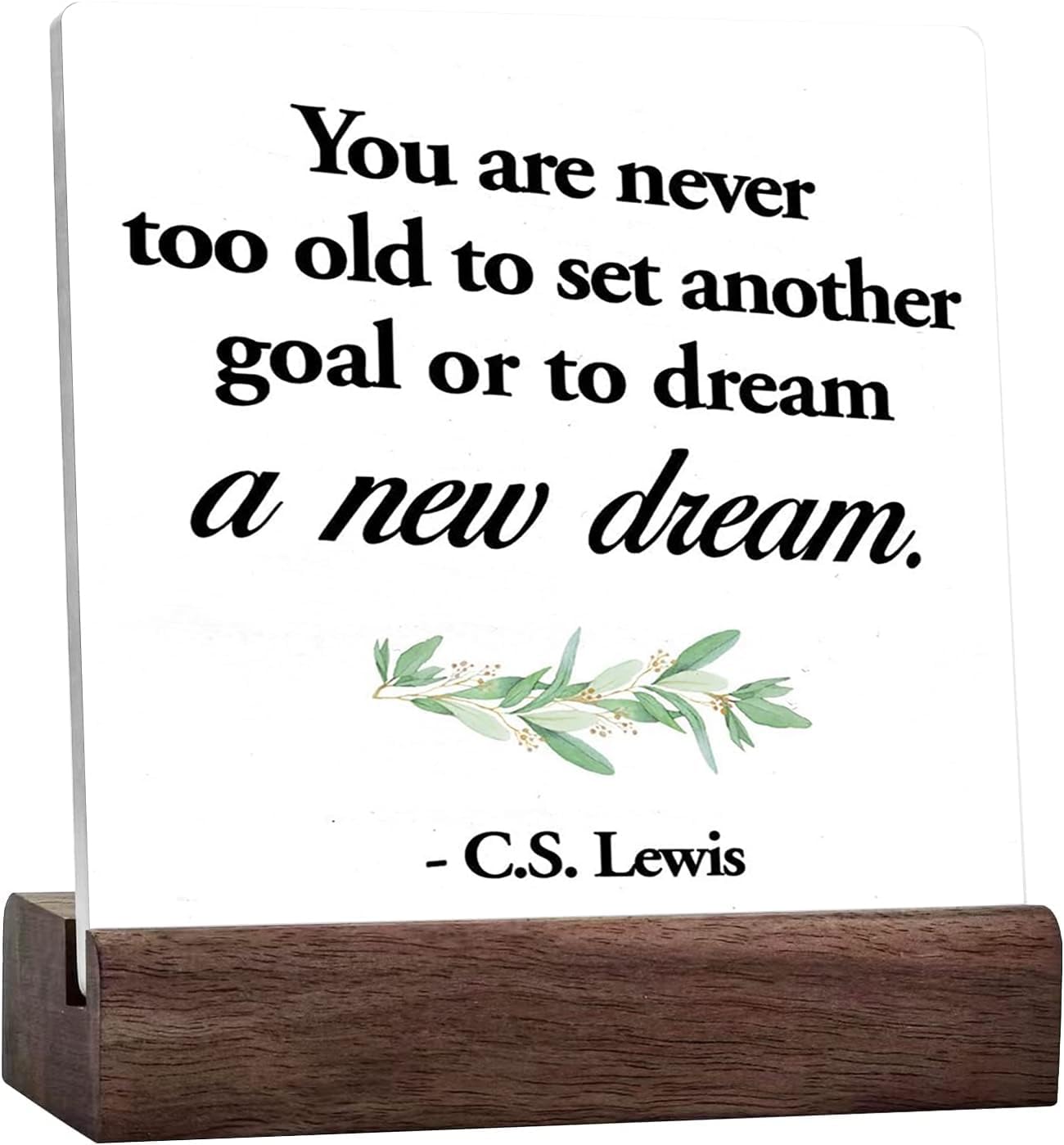 Inspirational Ceramic Desk Sign Desk Decor,You Are Never Too Old To Set ...