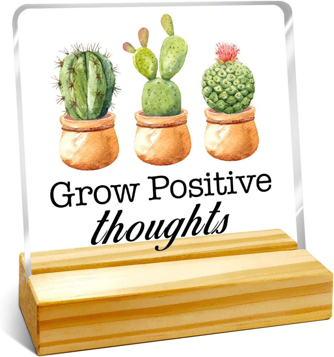 Inspirational Gifts for Kids,Motivational Gifts for Teens,Encouragement ...