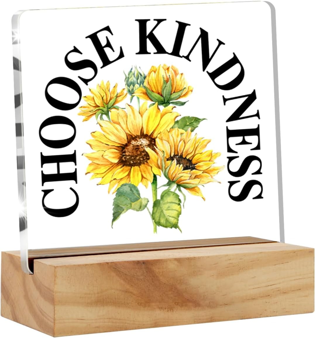 Inspirational Gifts for Women Her, Kindness Gifts Choose Kindness Clear ...
