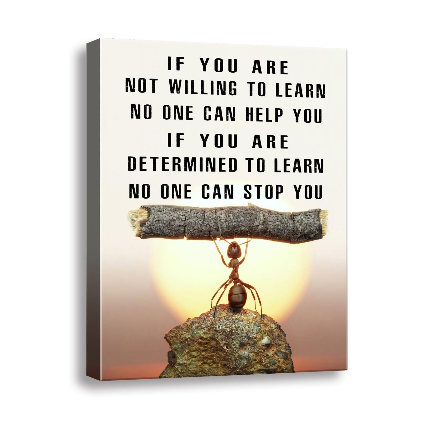 Inspirational Office wall art Motivational posters for home decor ...