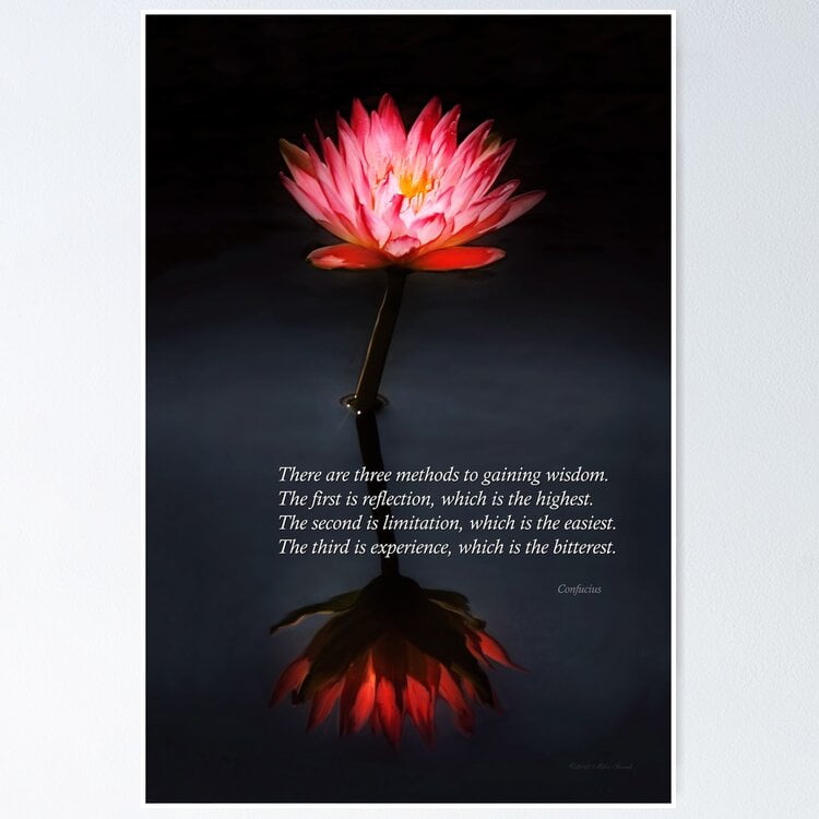 Inspirational - Reflection - Confucius UNFRAMED Poster, 18x24 - Walmart.com