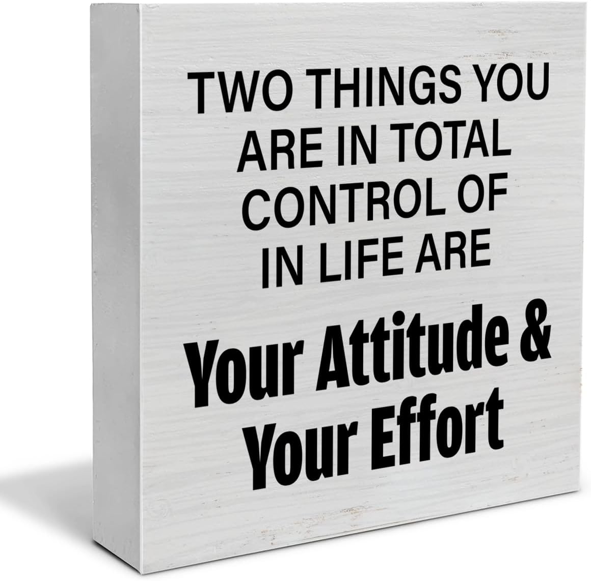 Inspirational Sign Two Things You Are in Total Control of in Life Are ...