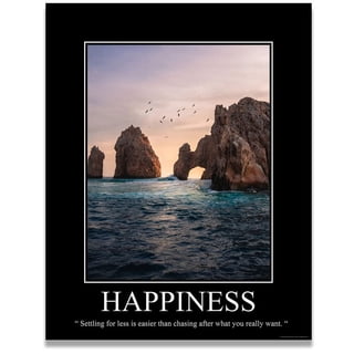 Irony Motivational Poster By Inspirational Poster Cartoons And Comics