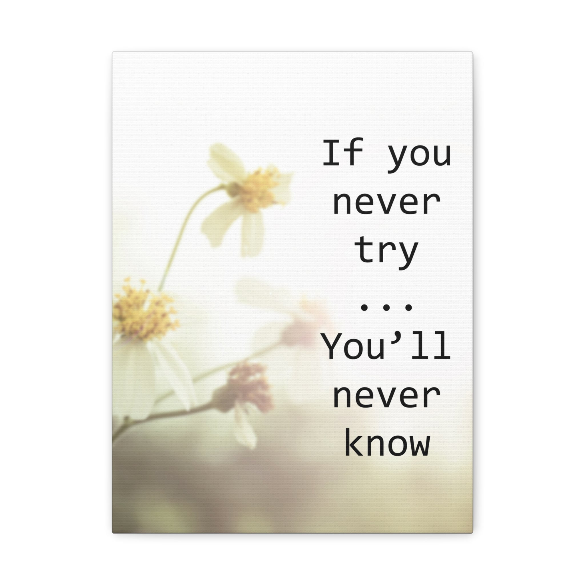 Inspirational Wall Art If You Never Try You'll Never Know White Wall ...