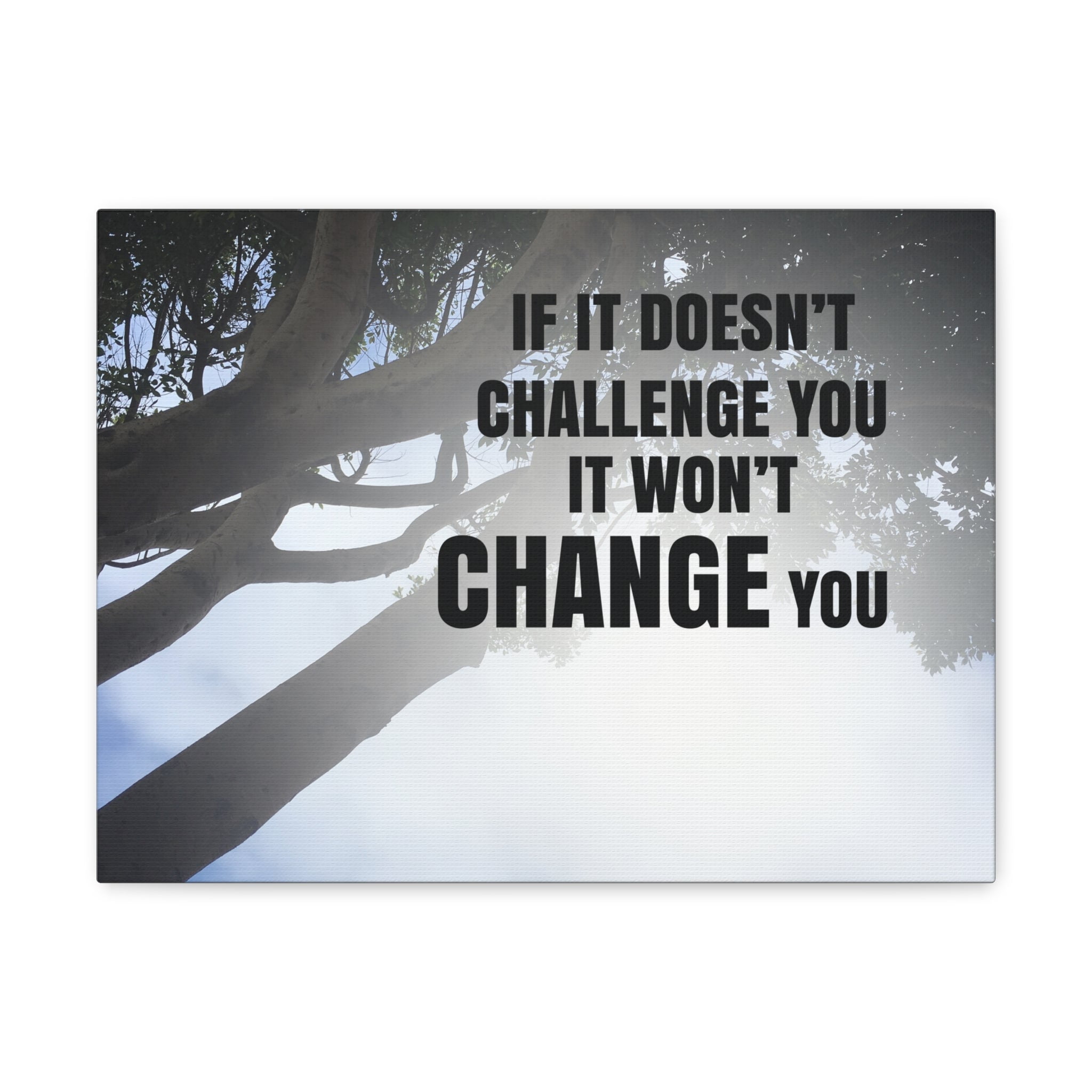 Inspirational Wall Art It Won't Change You Wall Art Motivational Motto ...