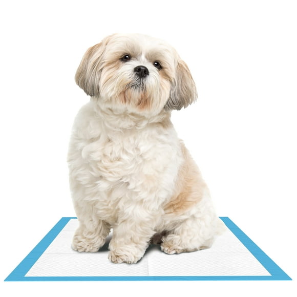 Chux Disposable Pads