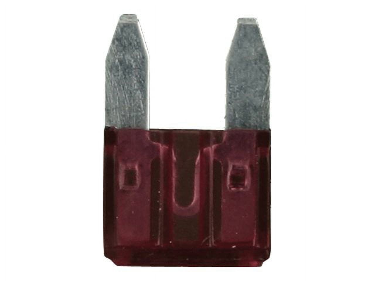 Install Bay ATM40-25 ATM Fuses 40 AMP - Package of 25 - Walmart.com