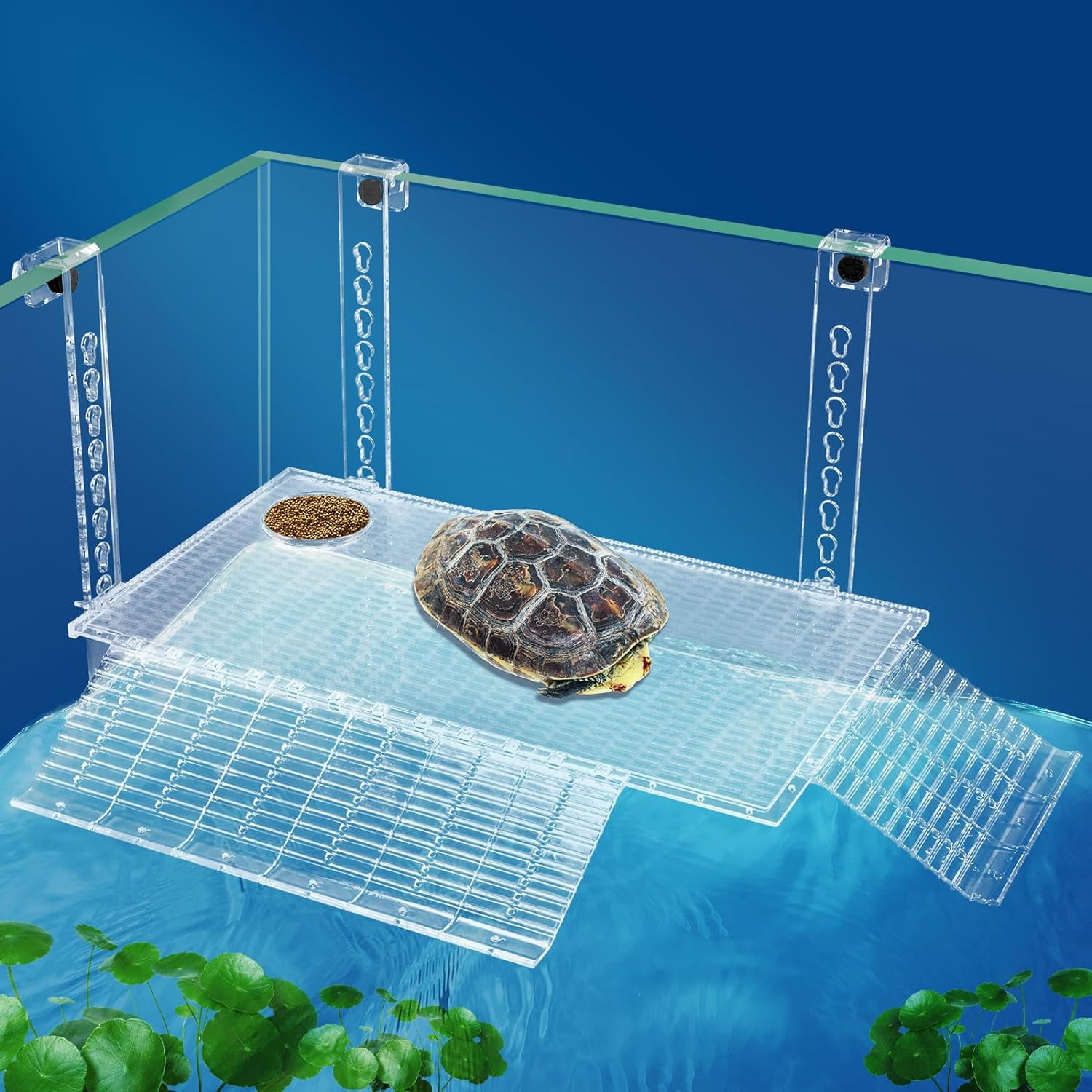 Installation Turtle Basking Platform Hanging Turtle Ramp for Turtle ...