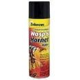 Enforcer Instant Knockdown Wasp & Hornet Killer Spray, 16 Oz Aerosol ...