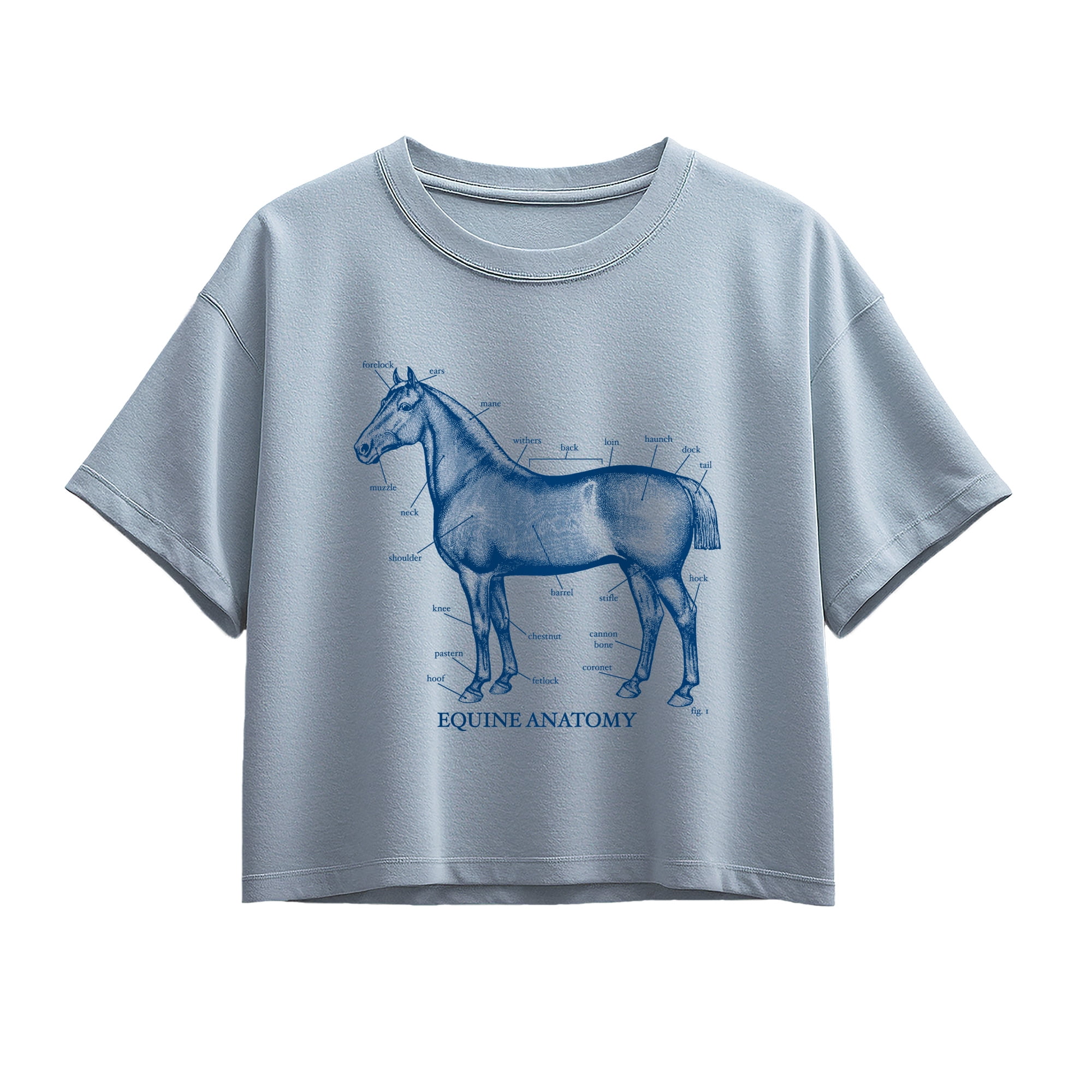 Instant Message - Equine Anatomy Diagram - Youth Girls Boxy T-Shirt ...