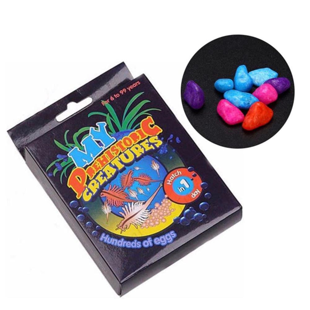 Instant Sea Monkey Hatching Kit, Educational Sea Dragon Eggs and ...