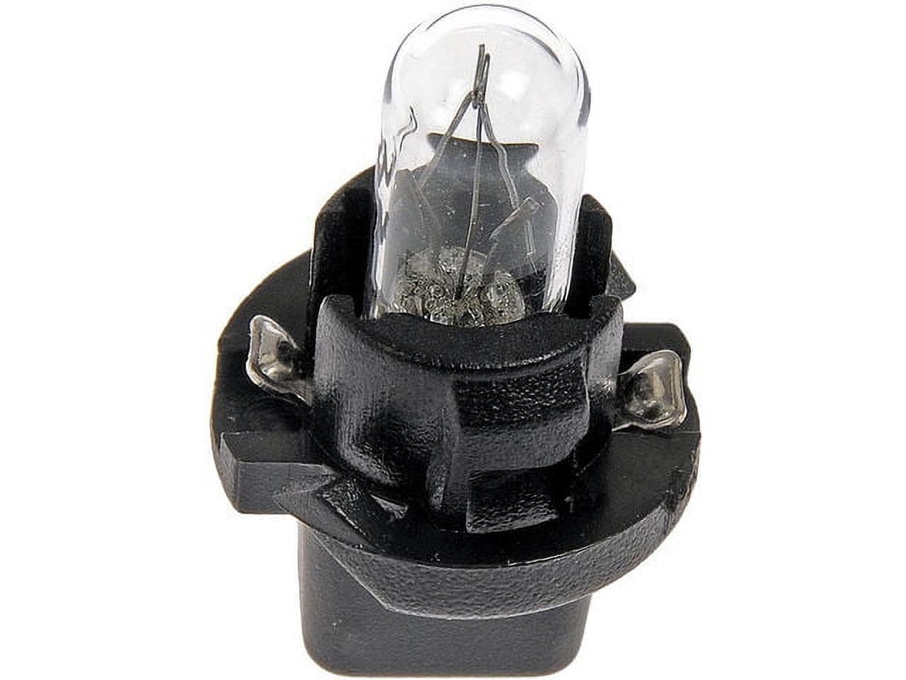 Instrument Panel Light Bulb - Compatible with 2000 - 2007 Ford Focus ...