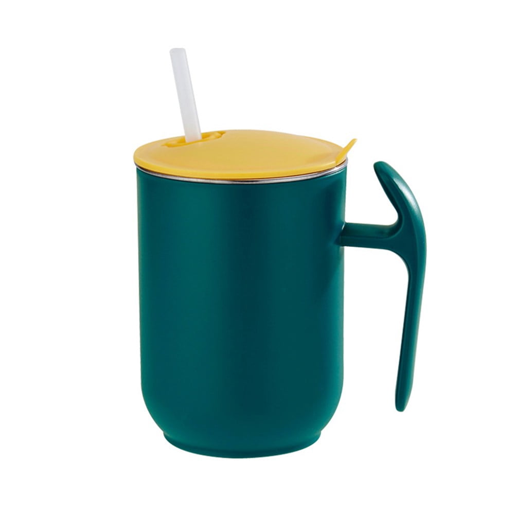 Insulated 304 Stainless Steel Water Cup with Leak-Proof Lid, Straw and ...