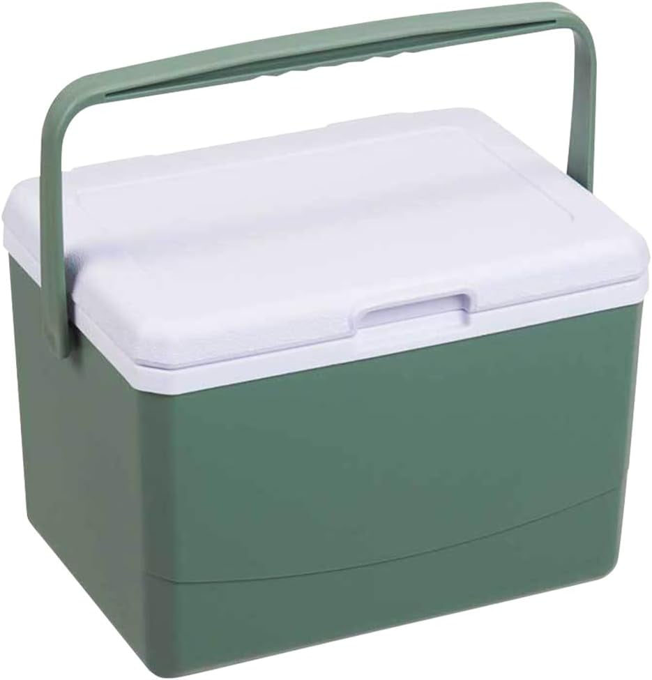 Insulated Hard Cooler Lunch Box, Small Cooler with Handle, Portable Ice ...