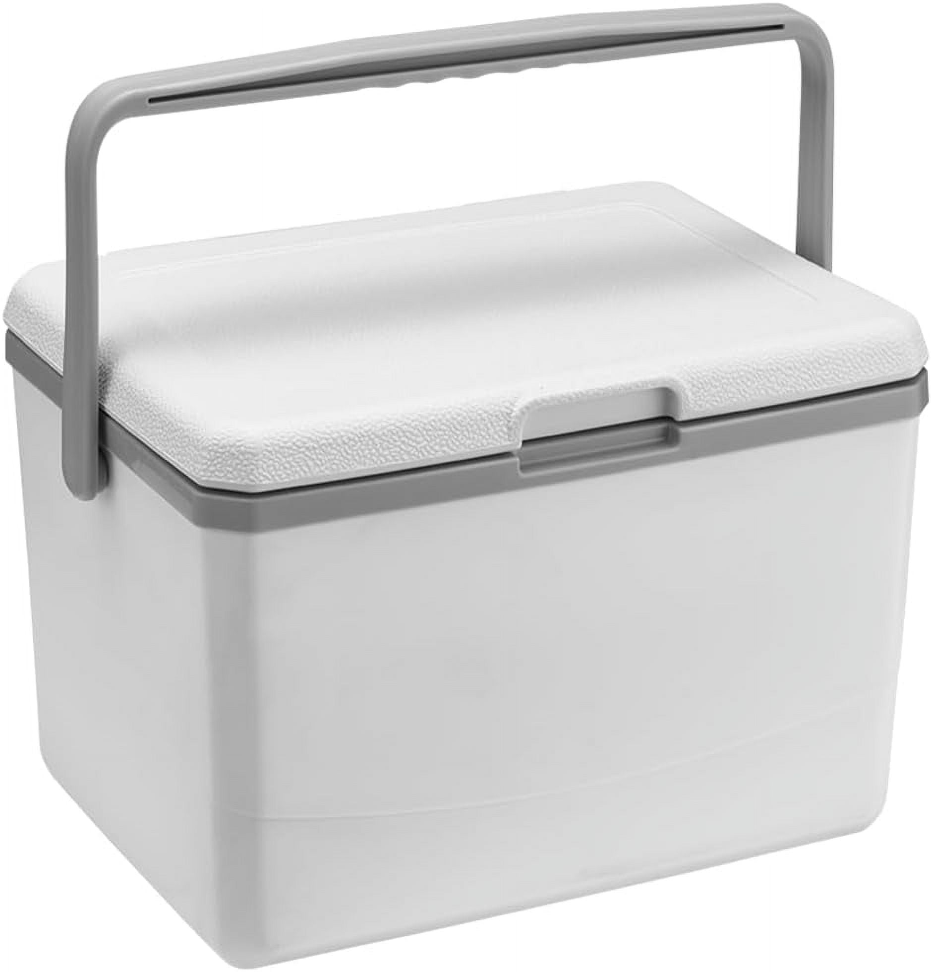 Insulated Hard Cooler Lunch Box, Small Cooler with Handle, Portable Ice ...