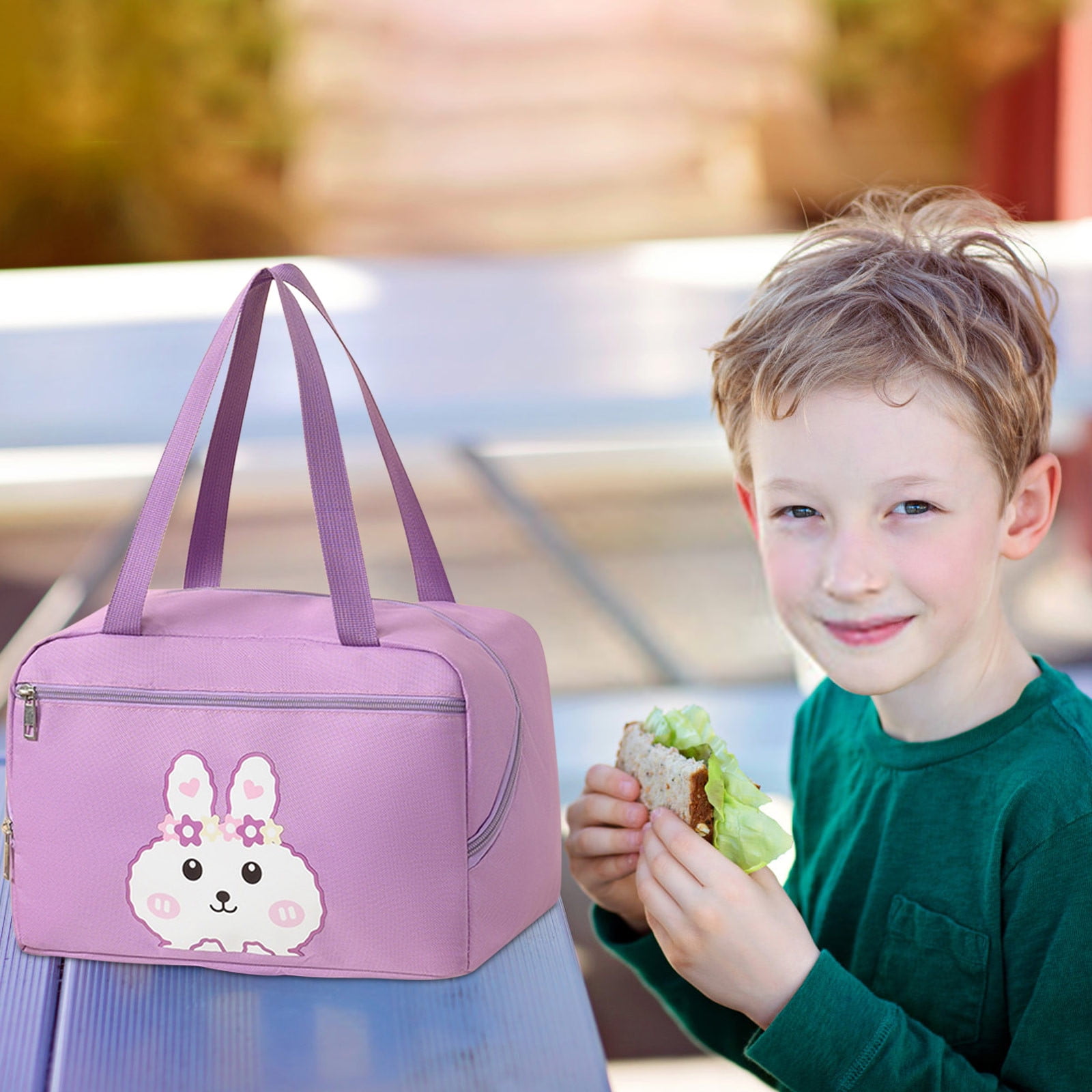 Insulated Picnic Lunch Bag, Leakproof Cloth Bento Box, 12-Compartment ...