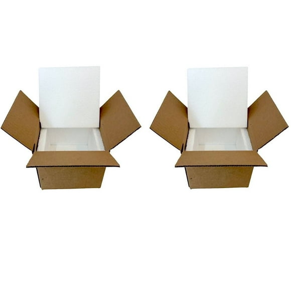 Foam Insulated Shipping Boxes