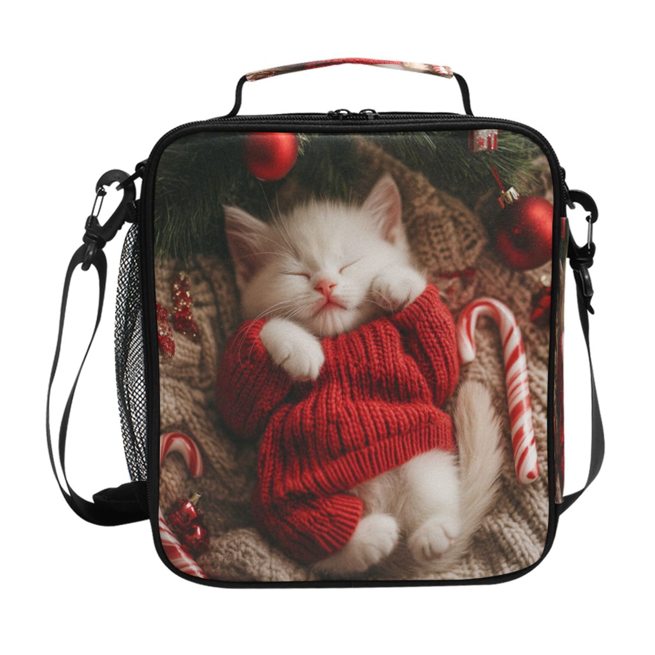 Insulated Square Lunch Bag 10.5" Leakproof Food Container Reusable ...